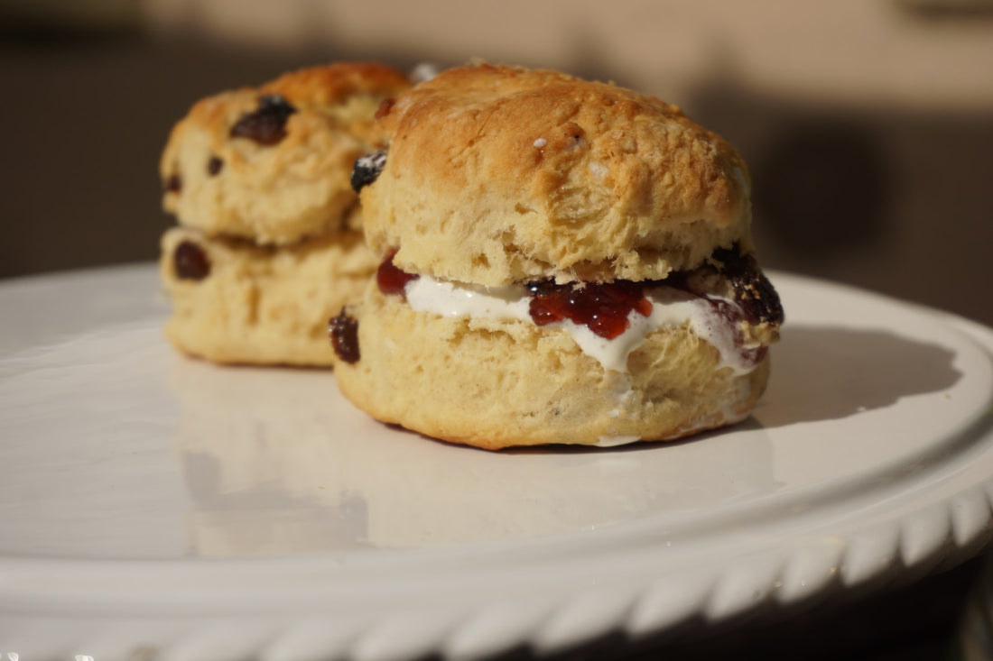 Fruit Scones – GreenIsland Bakery